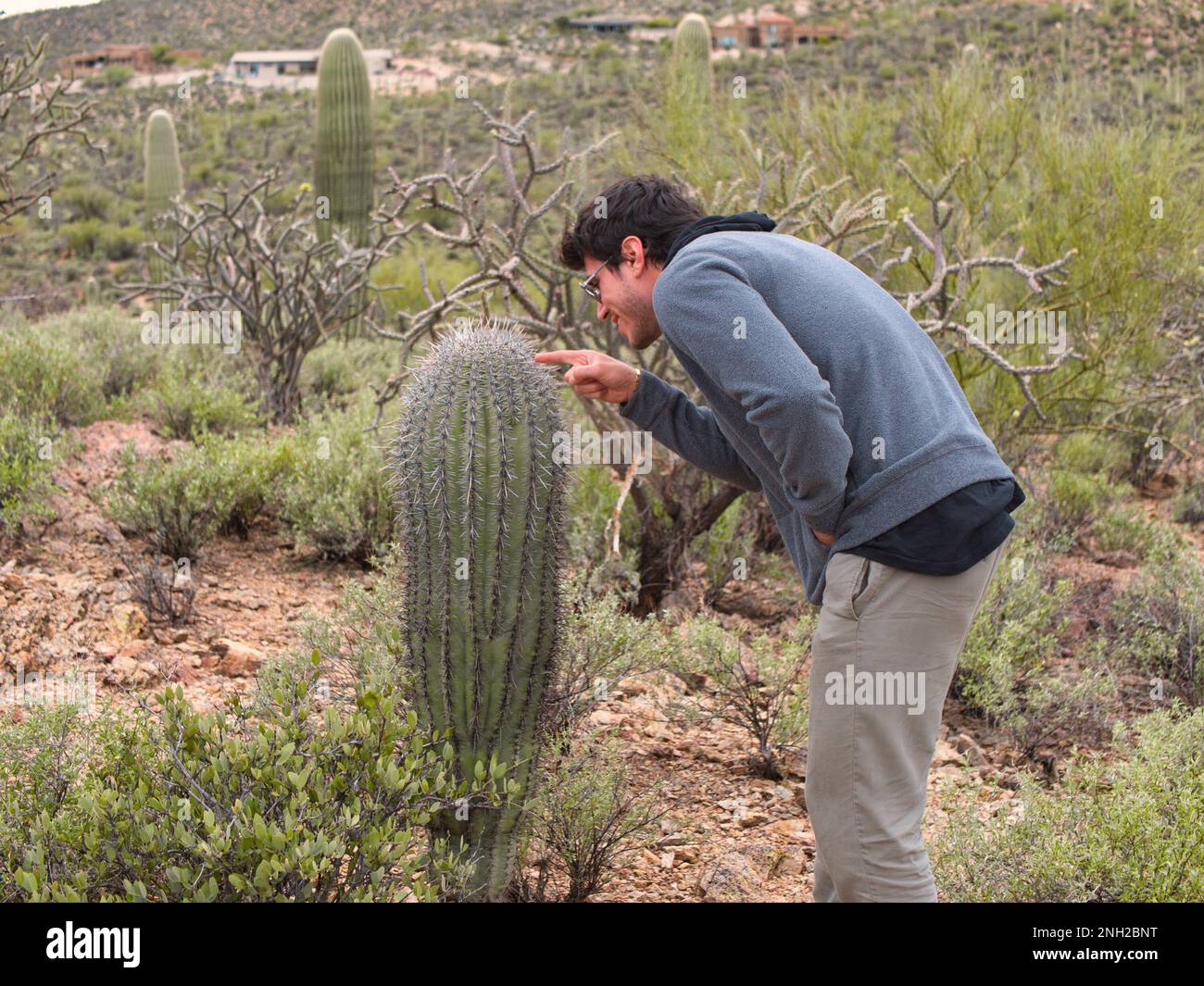 Man touching cactus in countryside field during daytime Stock Photo - Alamy