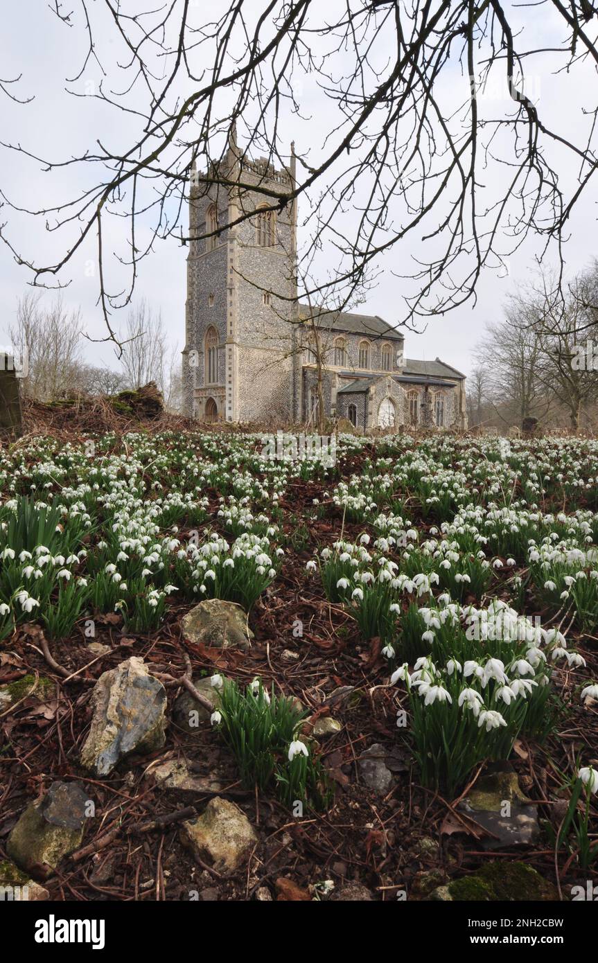 All Saints church, Hilborough, Norfolk, England UK Stock Photo - Alamy