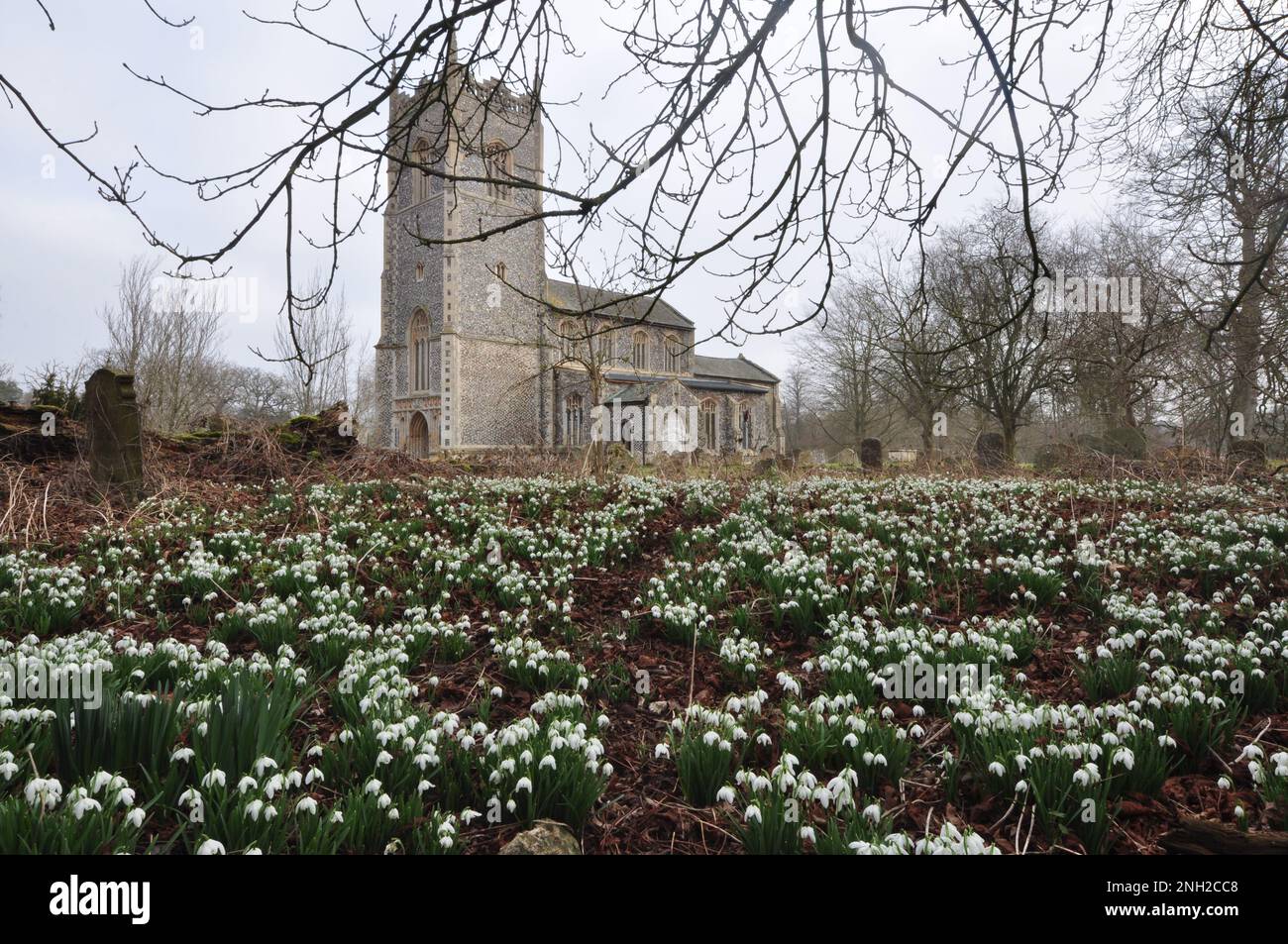 All Saints church, Hilborough, Norfolk, England UK Stock Photo - Alamy