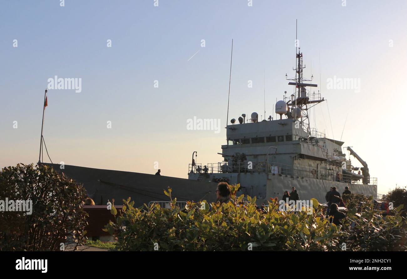 Serviola p 71 hi-res stock photography and images - Alamy