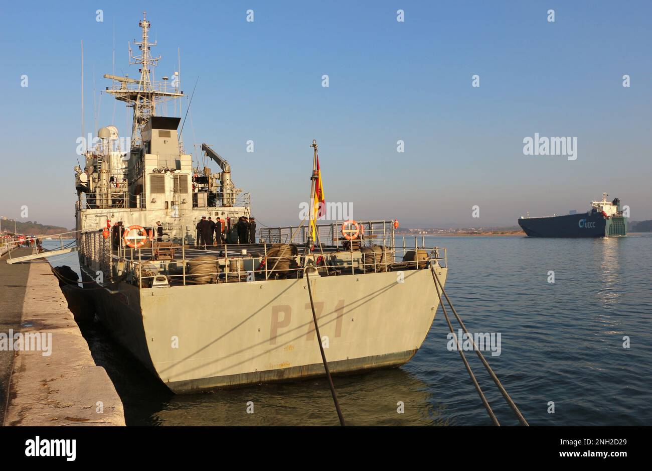 Serviola p 71 hi-res stock photography and images - Alamy