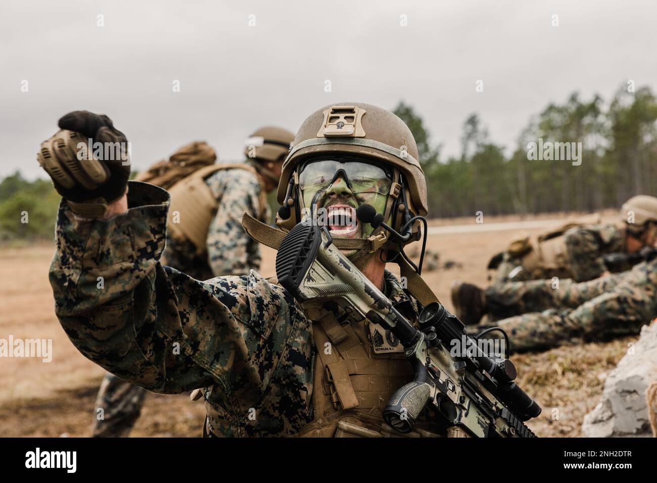 U.S. Marine Corps Sgt. Micah Detwiler, a rifleman with 2d Battalion ...