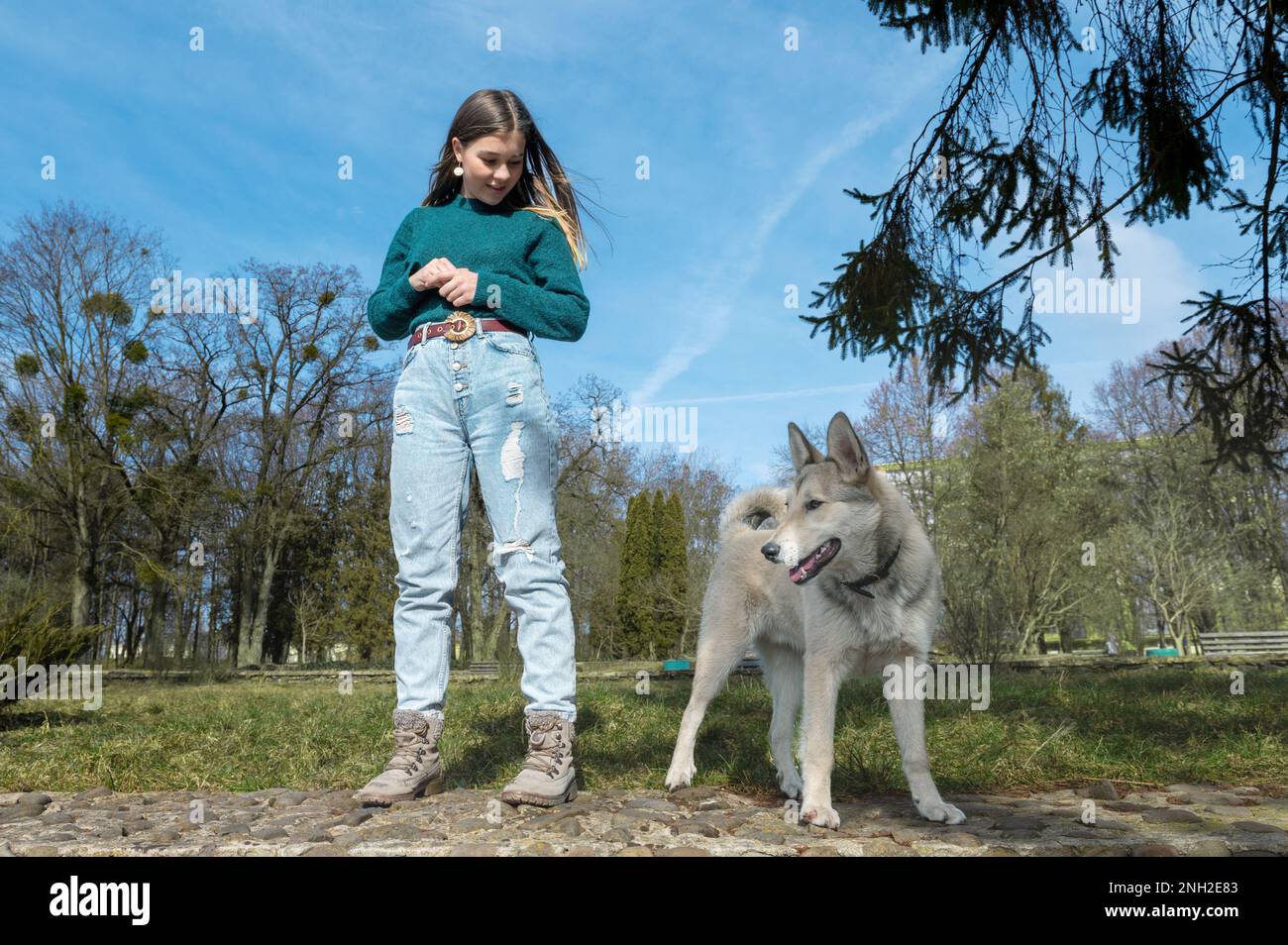 Teenage girl with dog in park. Portrait of beautiful teenage caucasian ...