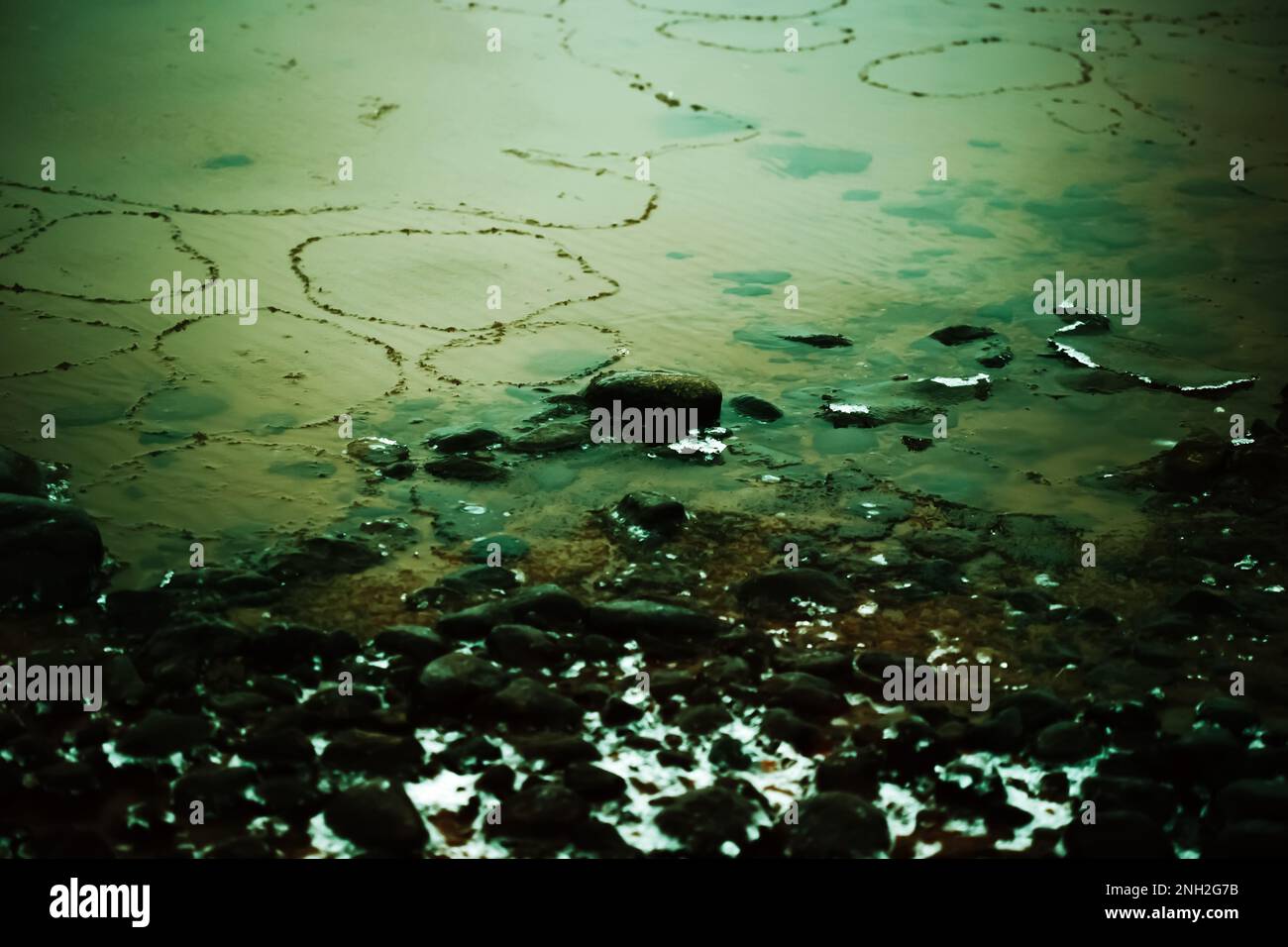 Ice and frosts hi-res stock photography and images - Alamy