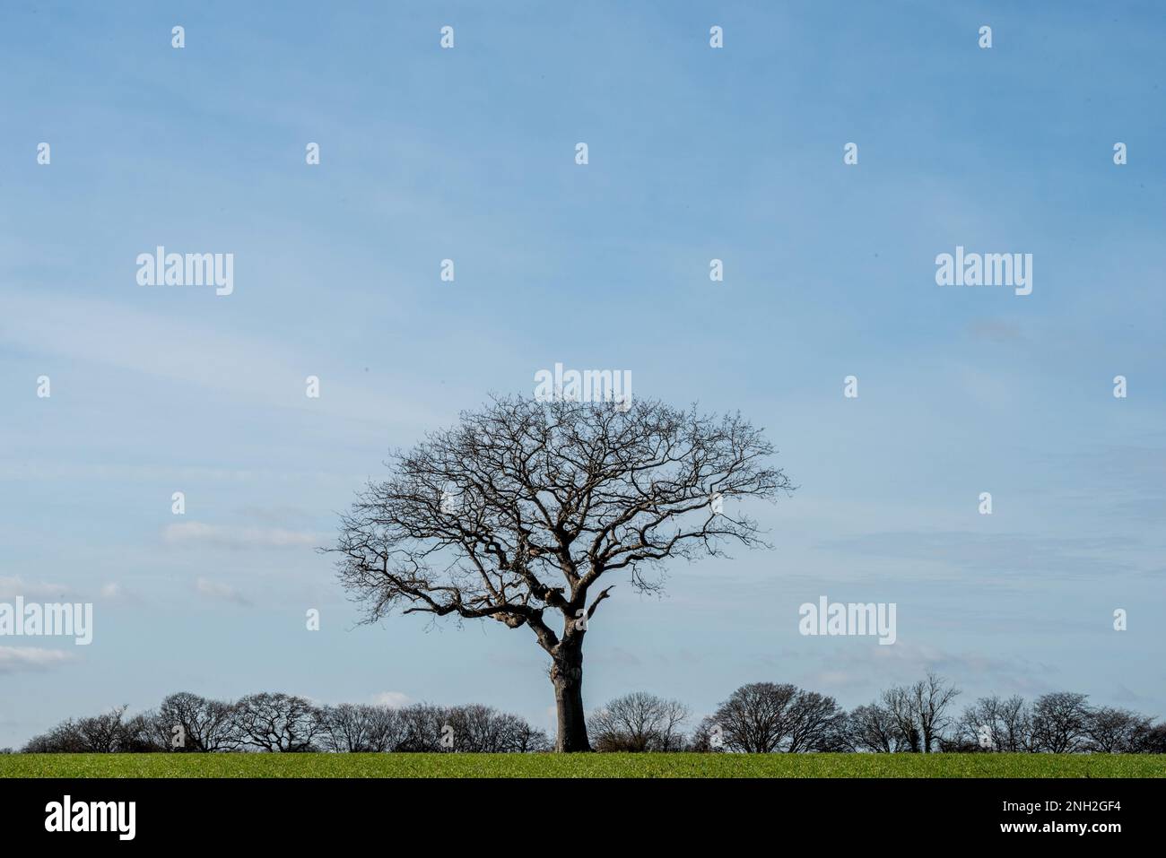 Elham in kent hi-res stock photography and images - Alamy
