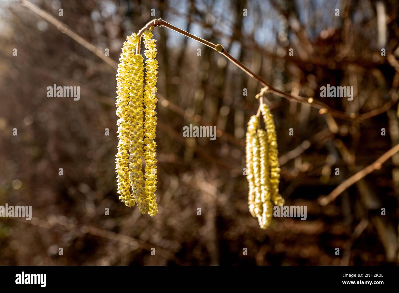 Elham in kent hi-res stock photography and images - Alamy