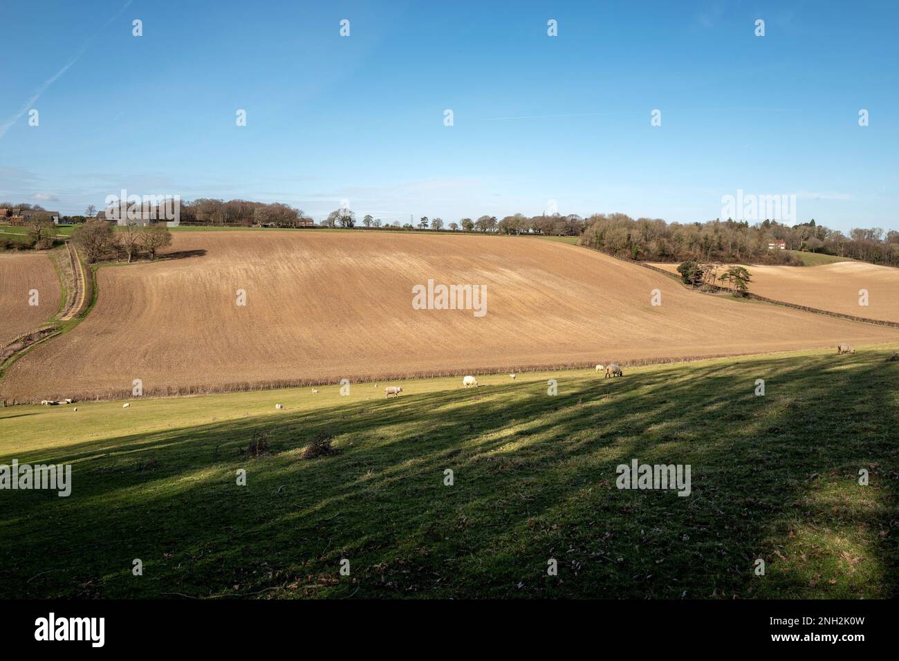 Elham, February 19th 2023: The Elham Valley in Kent Stock Photo - Alamy