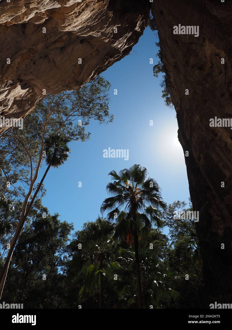 Hiking trail though Carnarvon Gorge, a sandstone gorge in Queensland ...