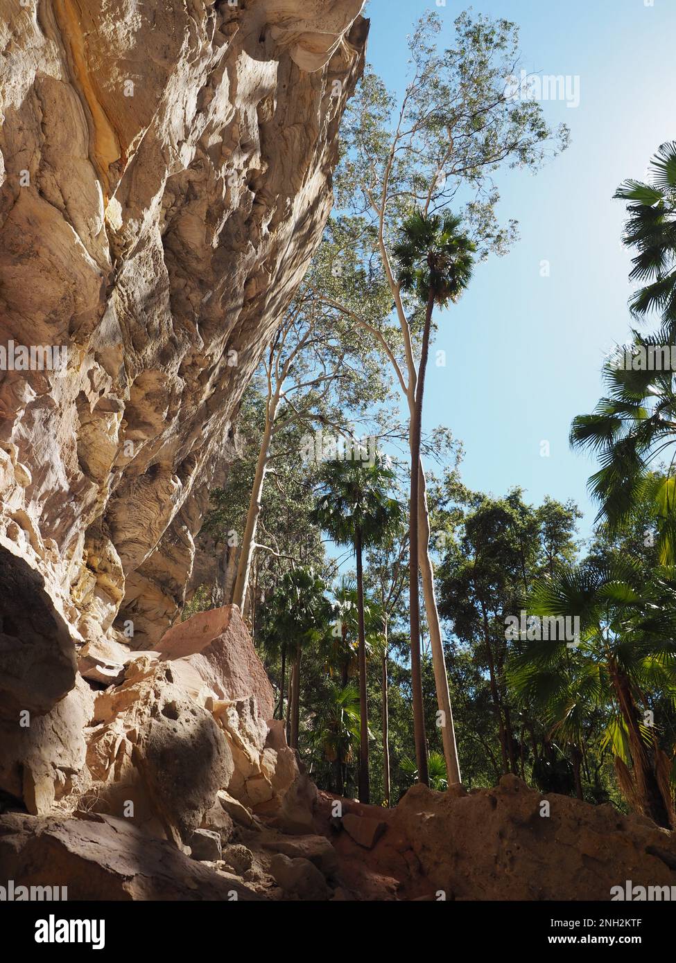 Hiking trail though Carnarvon Gorge, a sandstone gorge in Queensland ...