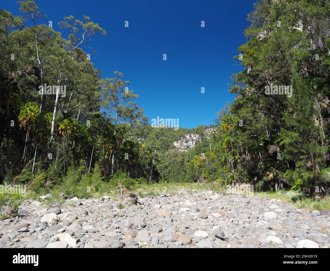 Hiking trail though Carnarvon Gorge, a sandstone gorge in Queensland ...
