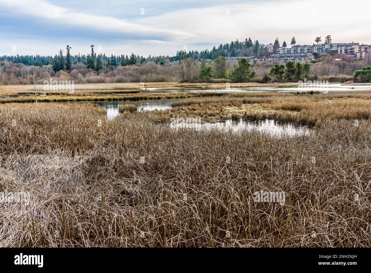 Edmonds marsh hi-res stock photography and images - Alamy