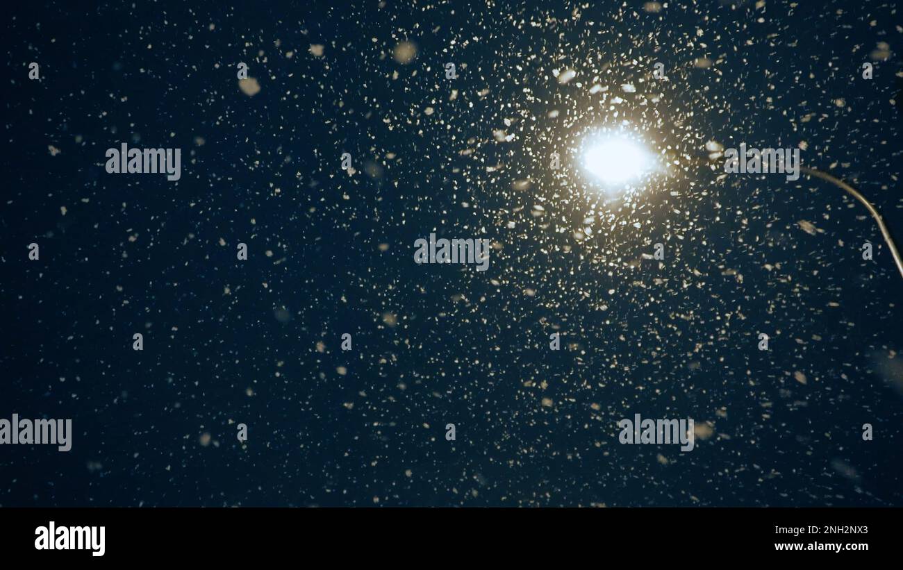 Snowflakes fall from the sky on the background of a residential ...