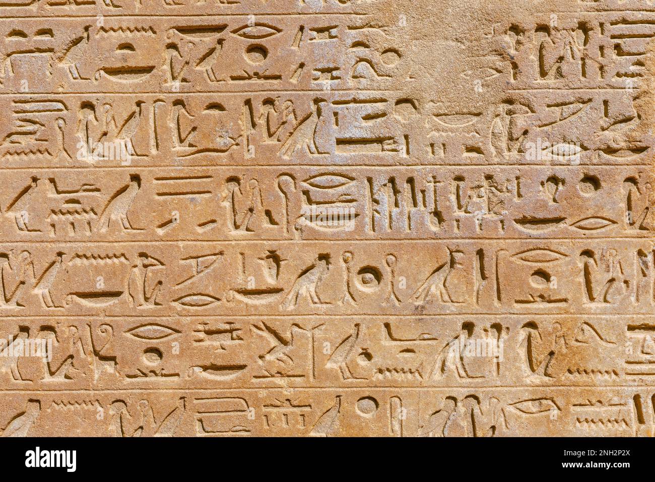 The Elephantine Island Archaeological Site, Home to an Ancient Khnum ...