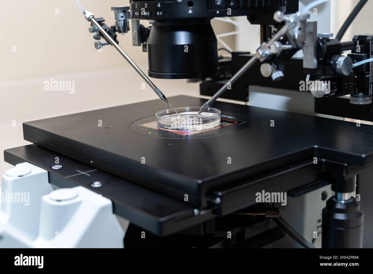 Micromanipulator hi-res stock photography and images - Alamy