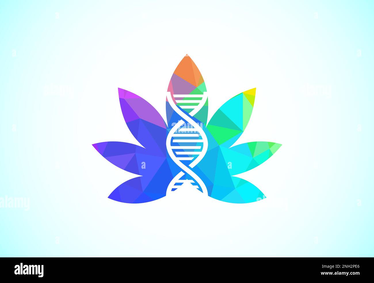 Marijuana leaf. Medical cannabis. Hemp oil. Cannabis or marijuana leaf ...