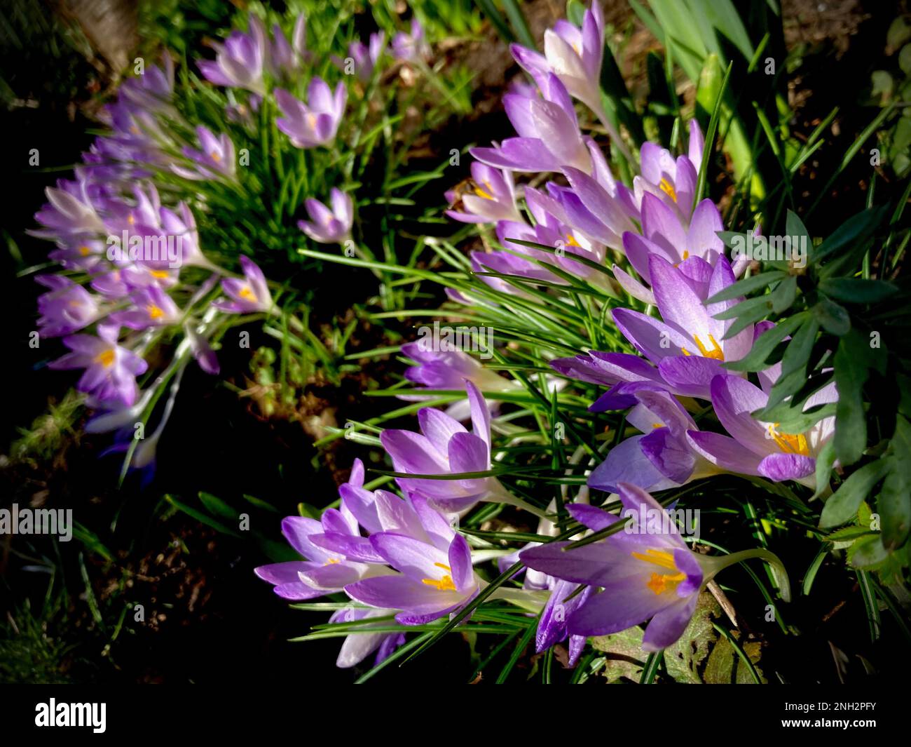Spring season 2023 hi-res stock photography and images - Alamy