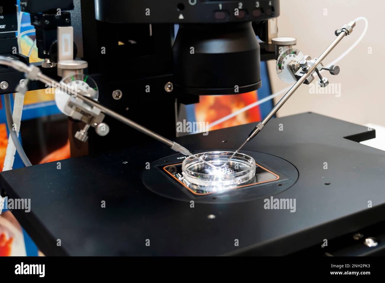 Micromanipulator hi-res stock photography and images - Alamy