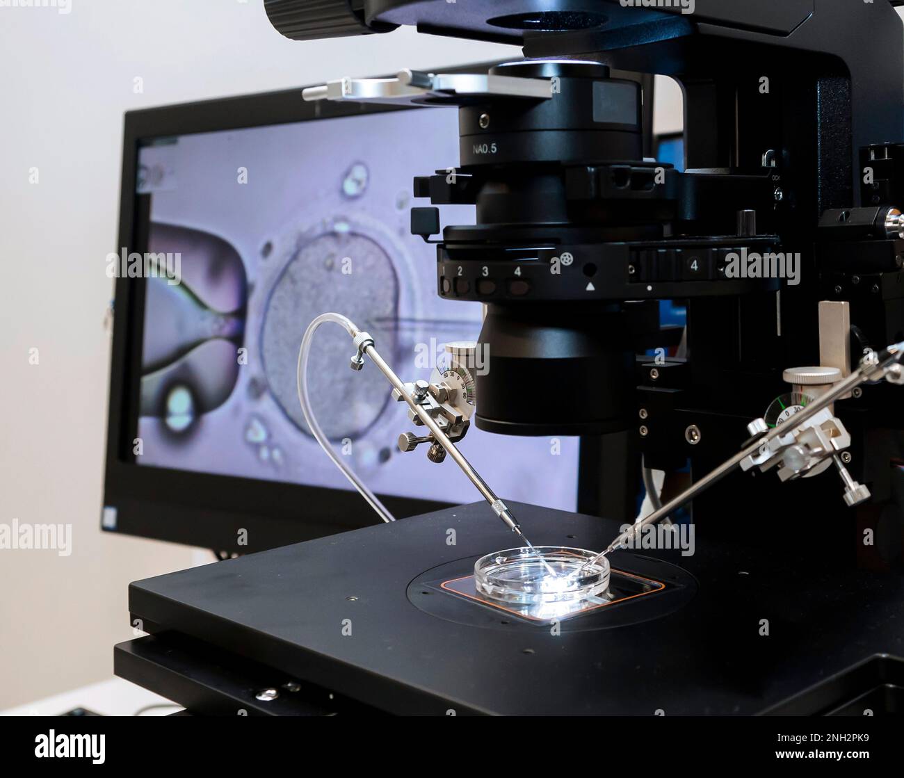 Micromanipulator hi-res stock photography and images - Alamy