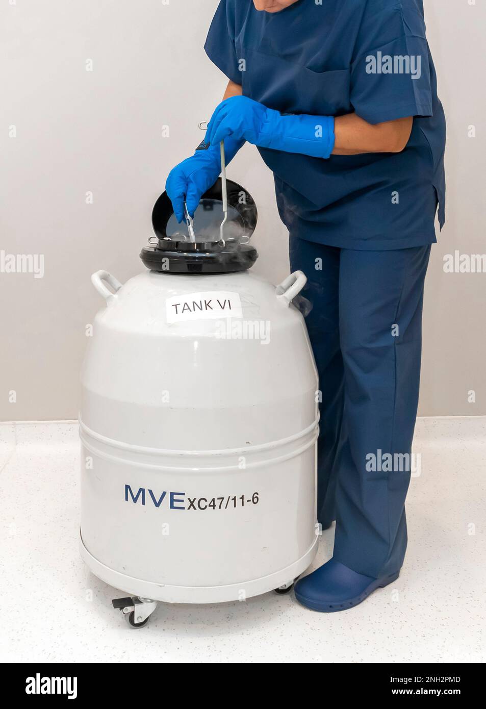 Cryo storage embryology hi-res stock photography and images - Alamy