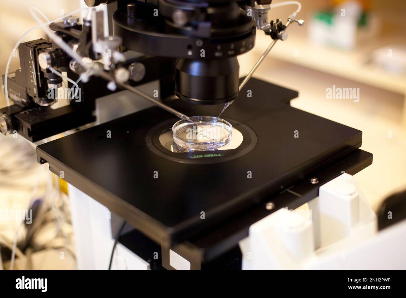 Micromanipulator hi-res stock photography and images - Alamy