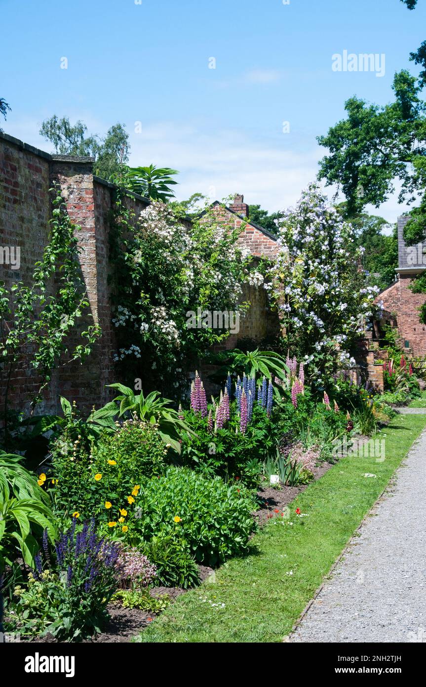 Around the UK - Cottage Gardens Plants - Mixed flower border Stock ...