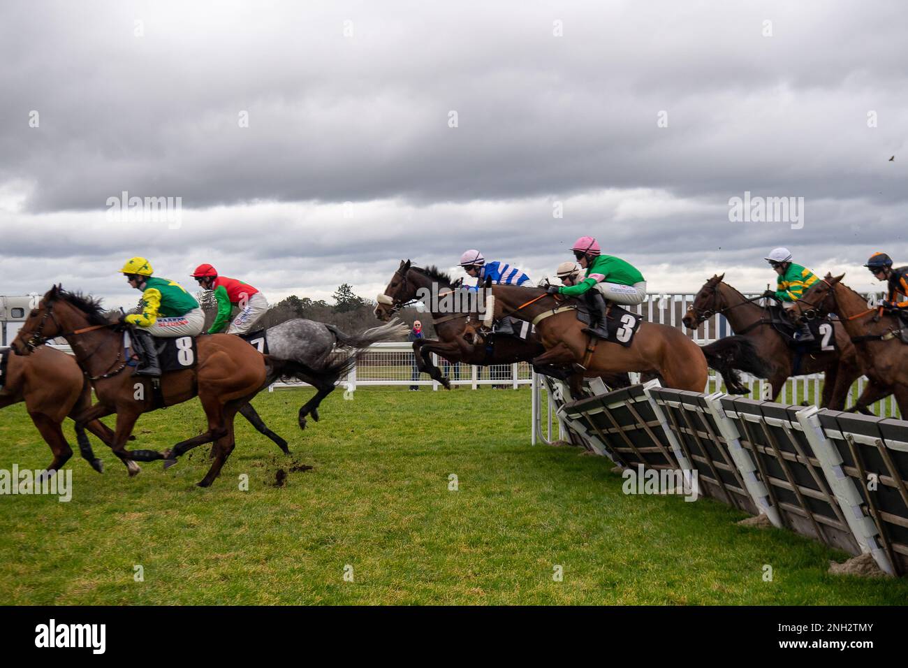 The ascot racecourse supports box4kids handicap hurdle race cla hi-res ...