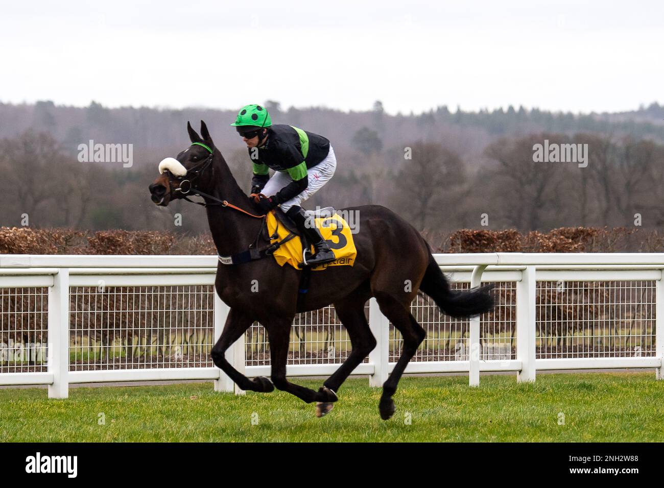 First flow horse hi-res stock photography and images - Alamy