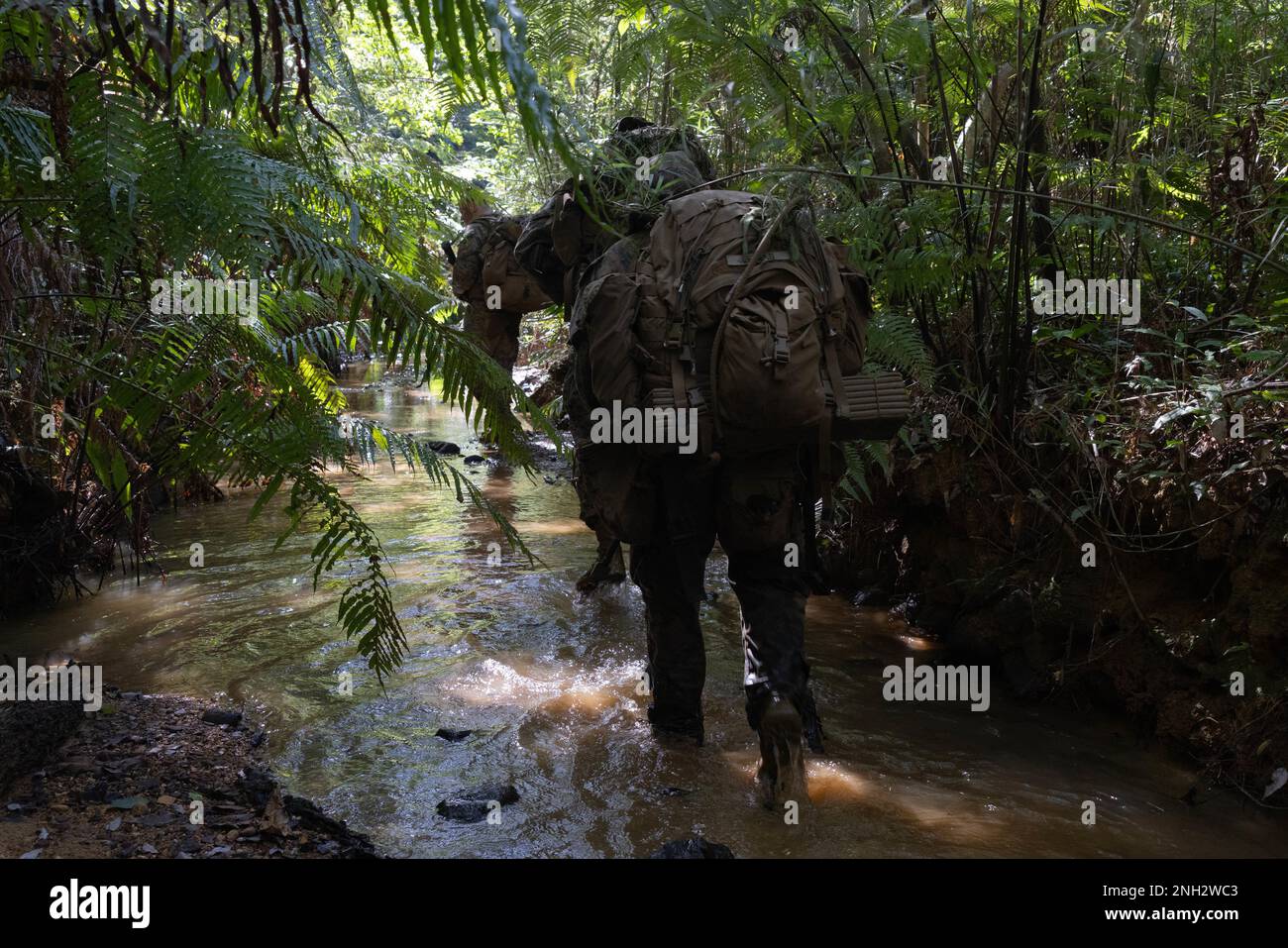 U.S. Marines with 1st Battalion, 2nd Marines patrol through the jungle ...