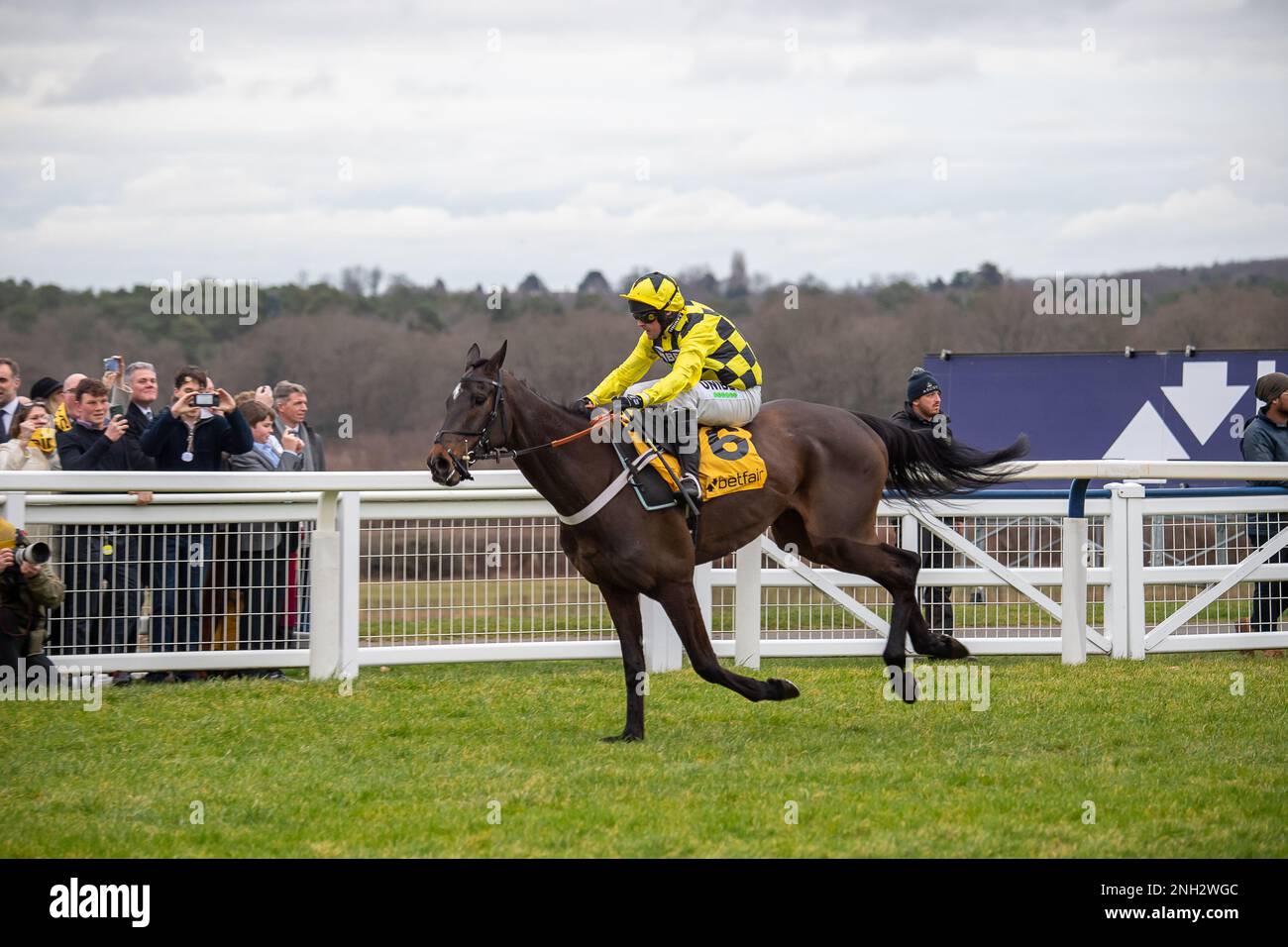 Nicky henderson shishkin hi-res stock photography and images - Alamy