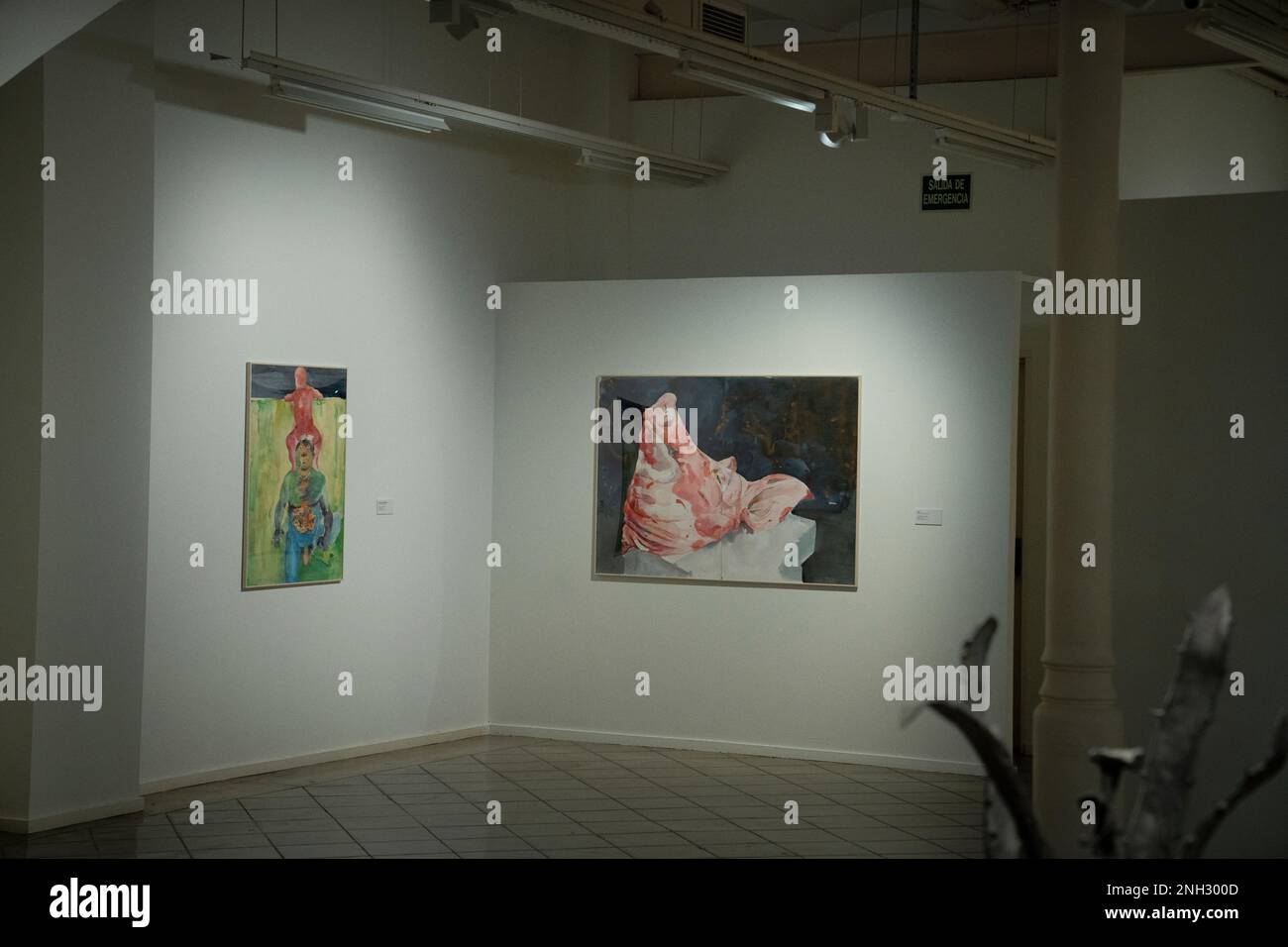 Two works from the anthological exhibition 'La costa de los mosquitos ...