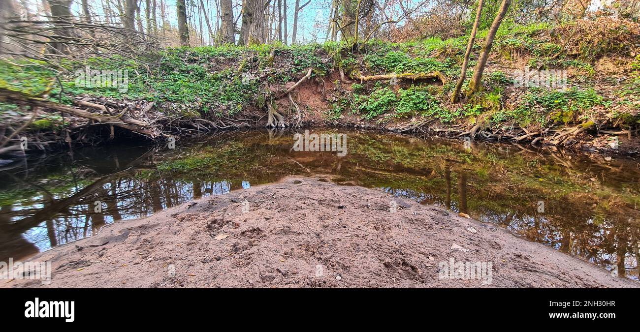 River bank tree roots hi-res stock photography and images - Alamy