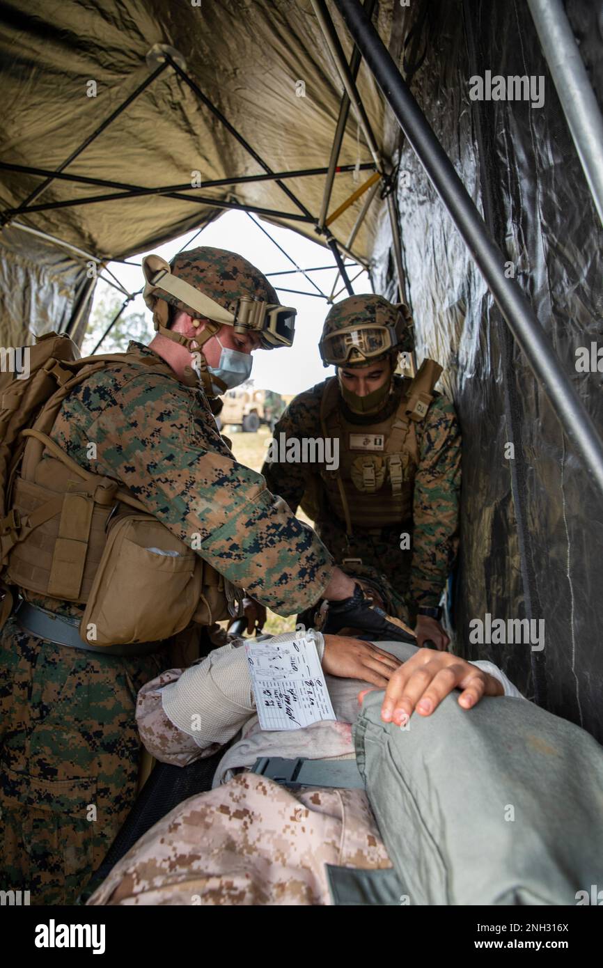 Iron Dragon 22-1 | Combat Logistics Regiment 37 conducts regimental ...