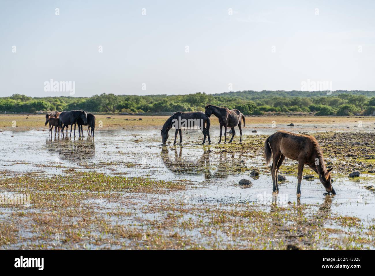 Giara park hi-res stock photography and images - Alamy