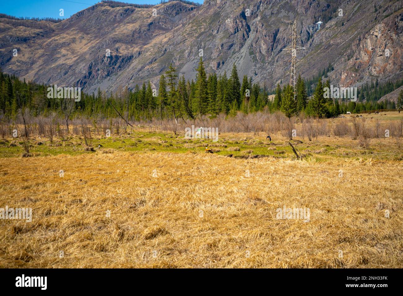 Blue geyser lake in autumn hi-res stock photography and images - Alamy