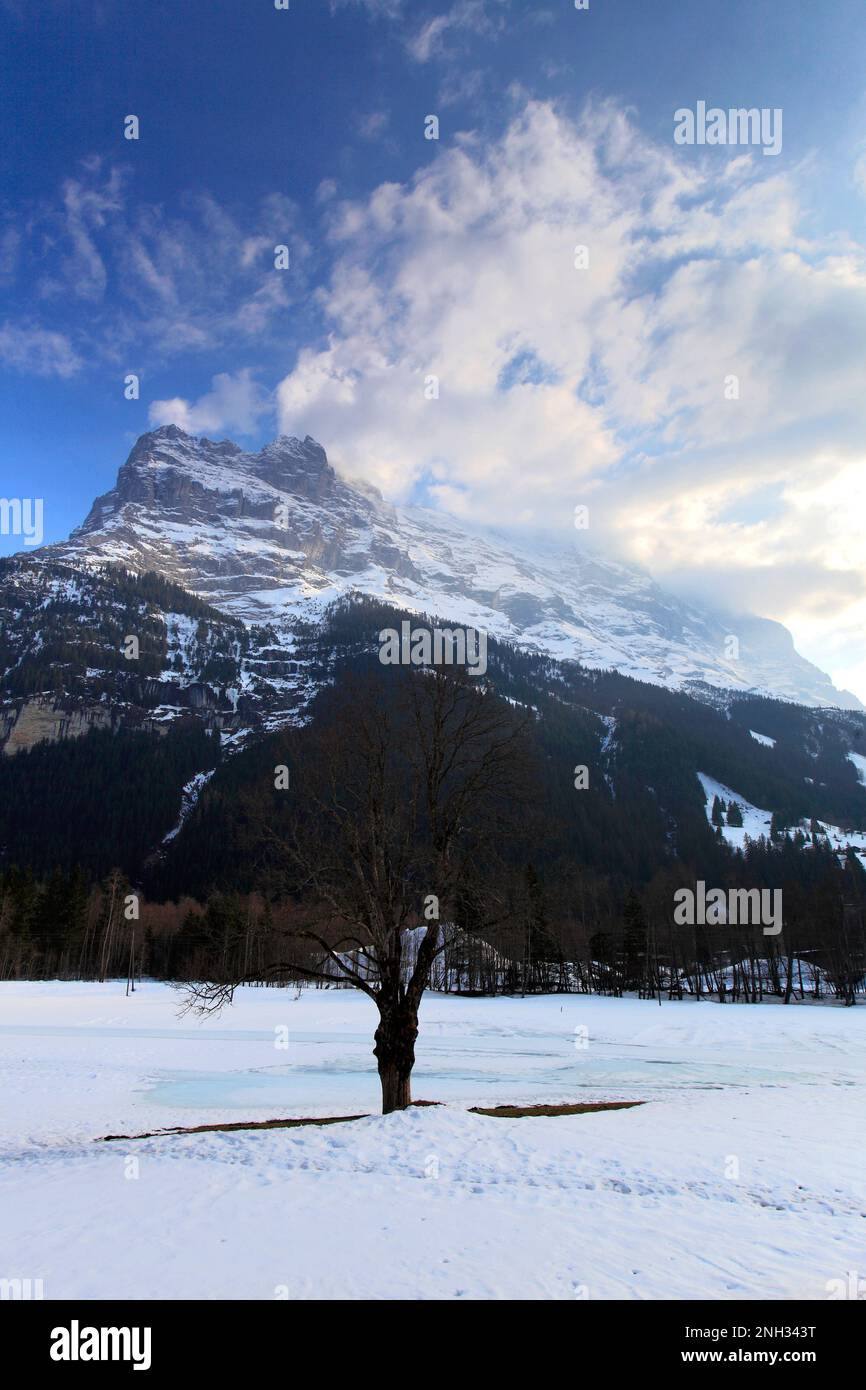 Winter snow view over the North face of the Eiger mountain, Grindelwald ...