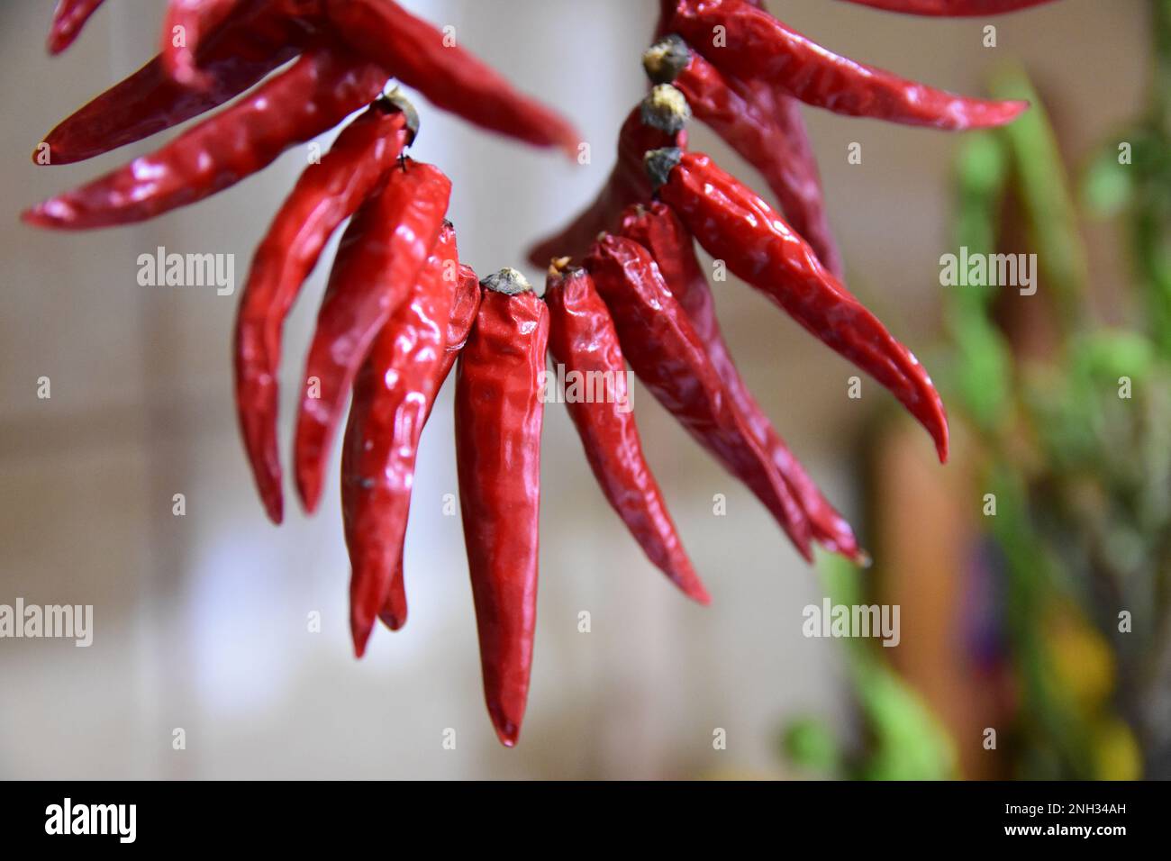 Calabrian chili pepper hi-res stock photography and images - Alamy