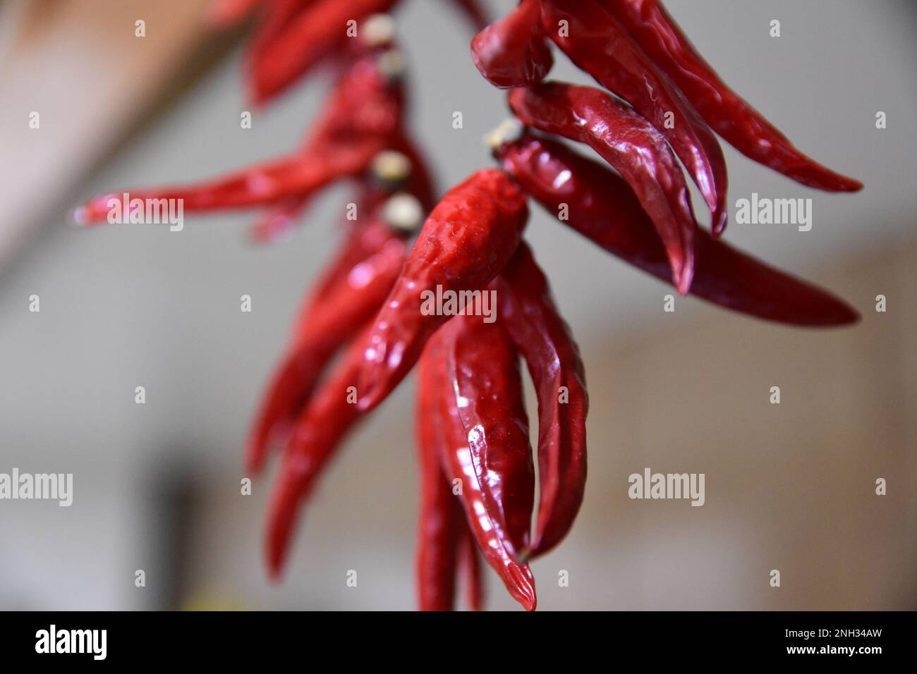 Calabrian chili pepper hi-res stock photography and images - Alamy