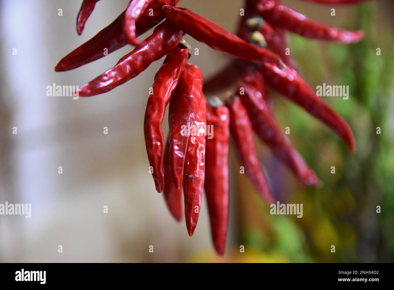 Crown of Calabrian chillies Stock Photo - Alamy