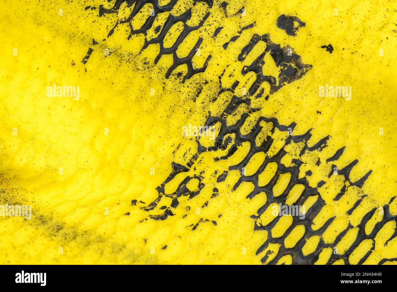 Smear of black paint on the surface of a yellow rubber glove. For messy ...
