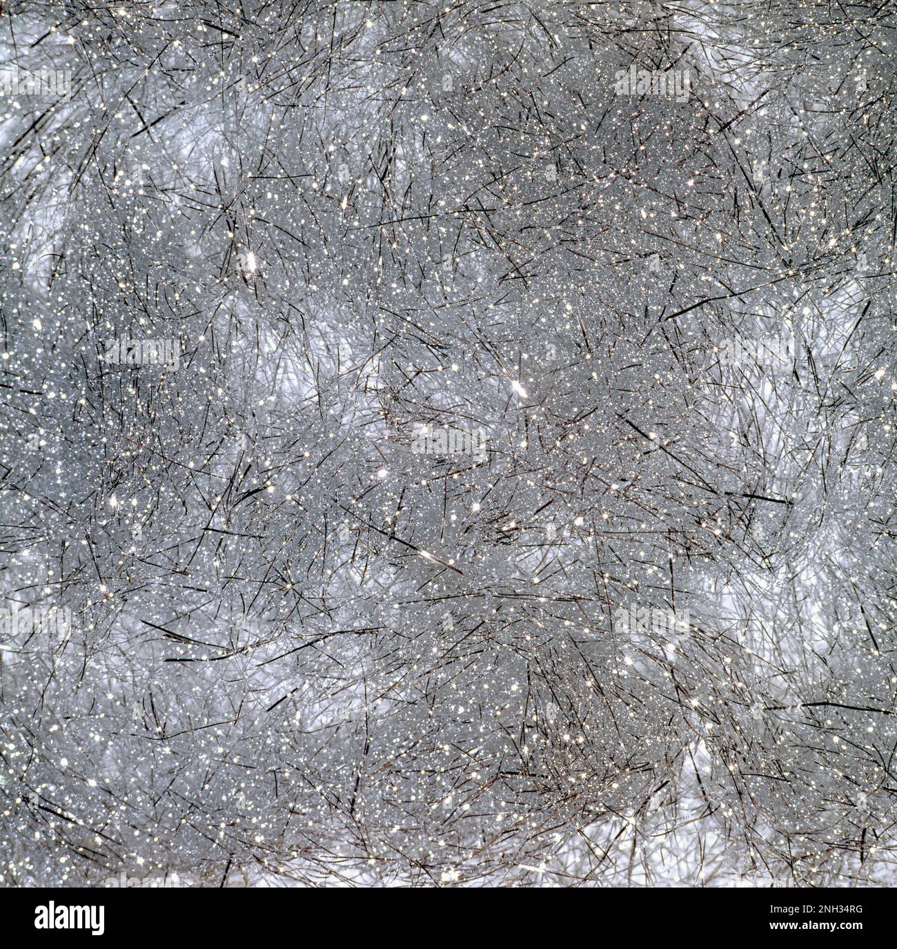 Silver Shredded Paper Stock Photo - Alamy