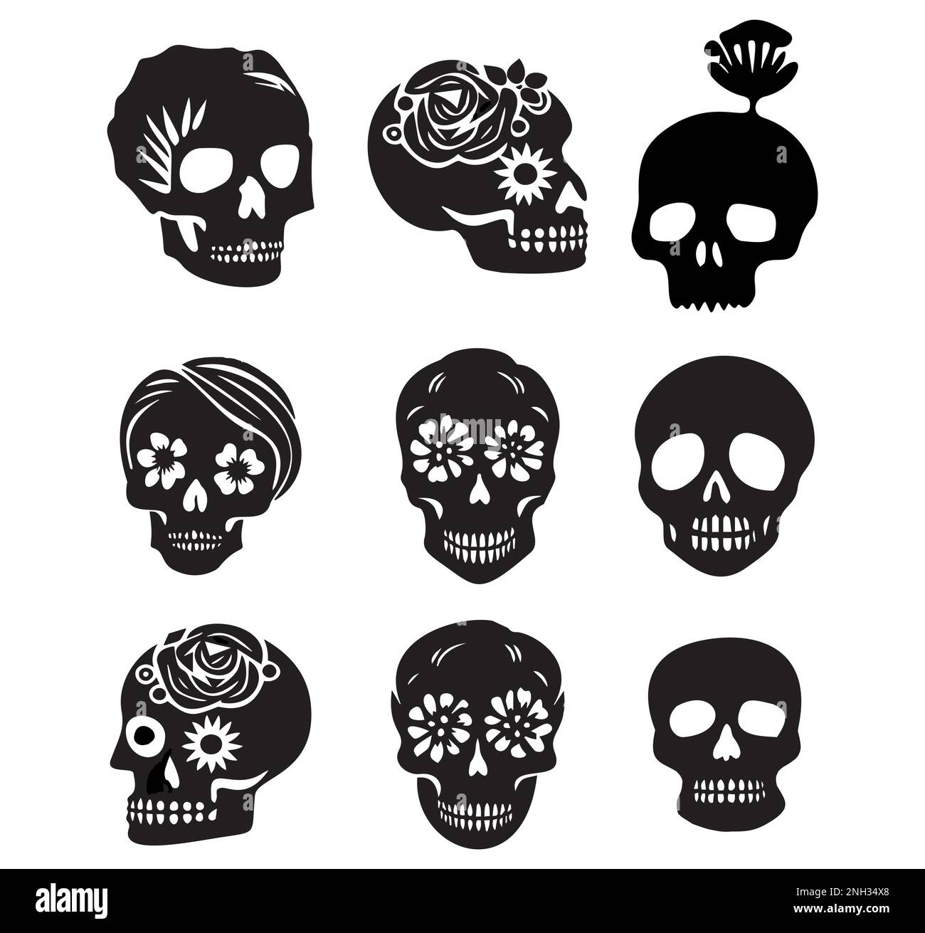 Set of macabre botanical skulls vector motif. Illustration of anatomy ...