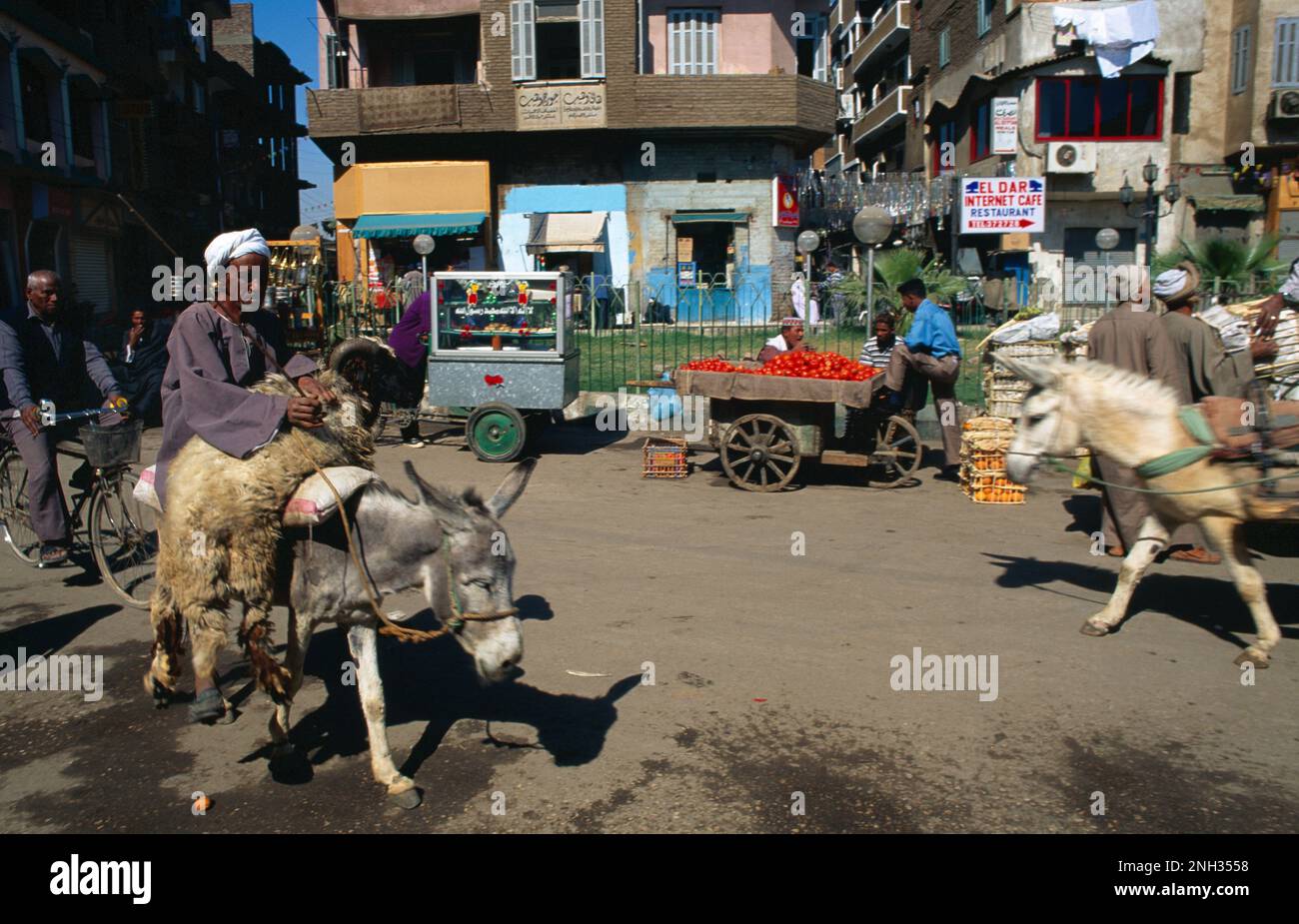 Luxor Egypt Man On Donkey Carrying Sheep at Bazaar Stock Photo - Alamy