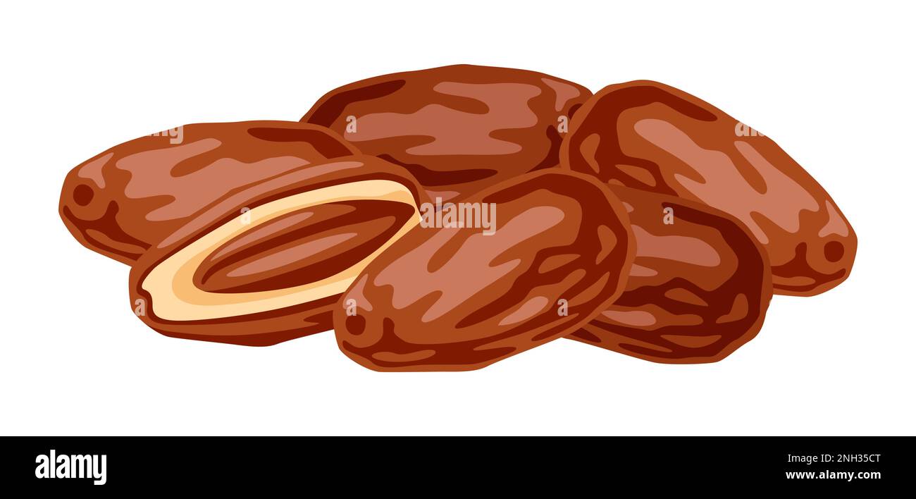 Illustration of dates fruits. Tropical vegetarian food for healthy ...