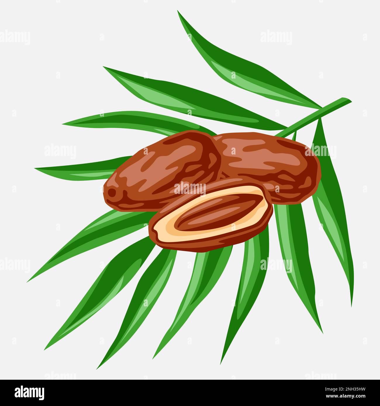 Illustration of dates fruits and palm leaves. Tropical vegetarian food ...