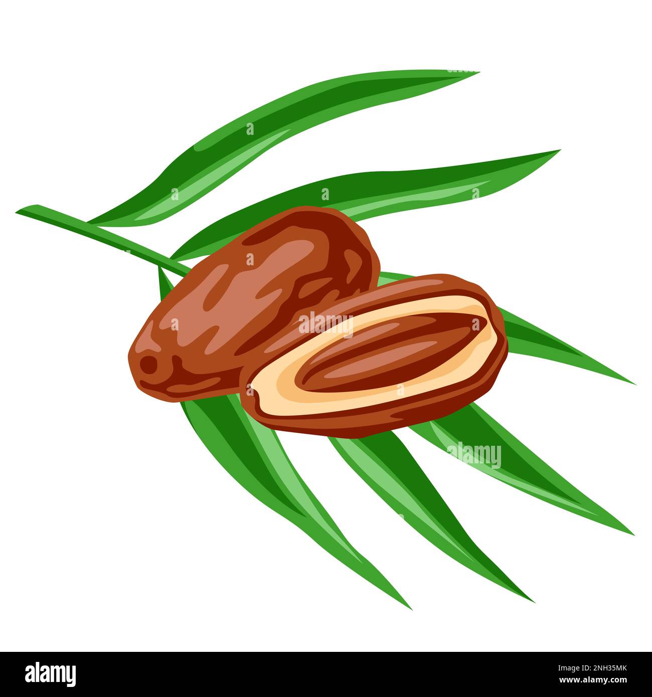 Illustration of dates fruits and palm leaves. Tropical vegetarian food ...