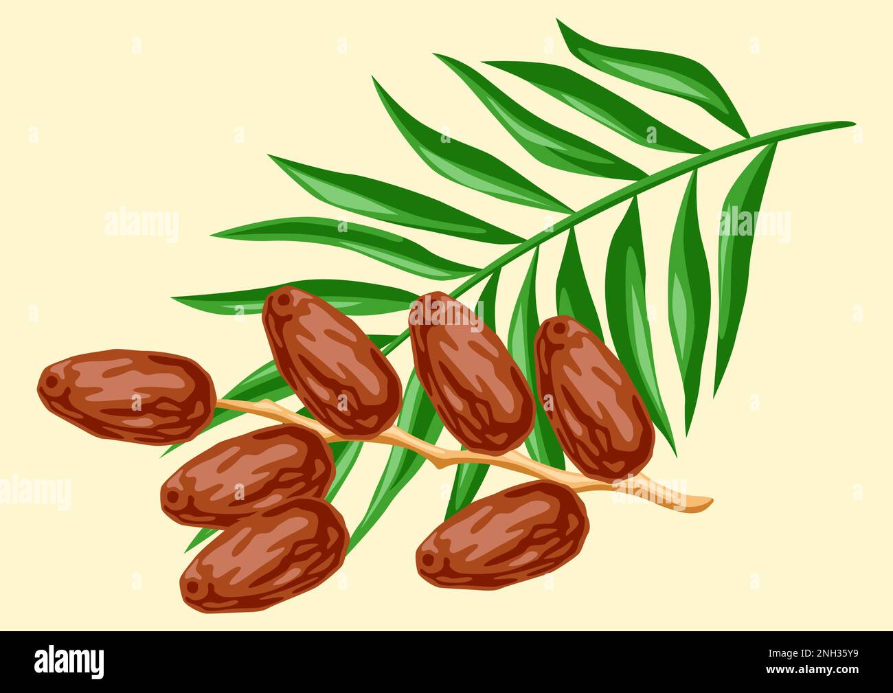 Illustration of dates fruits and palm leaves. Tropical vegetarian food ...