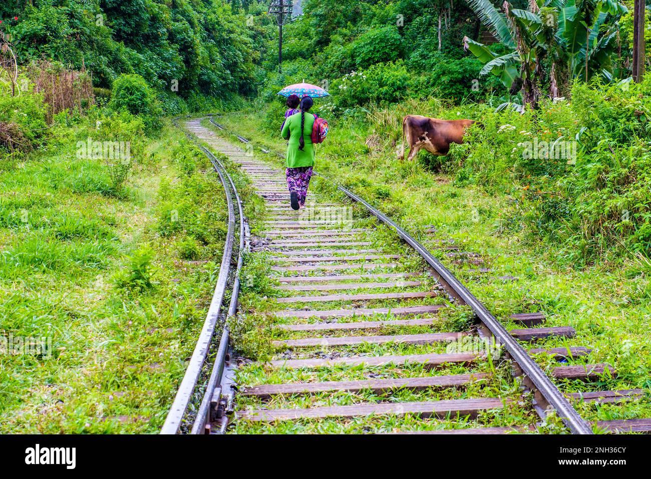 Sri Lanka, Local people walking on the tracks on The Kandy to Ella ...