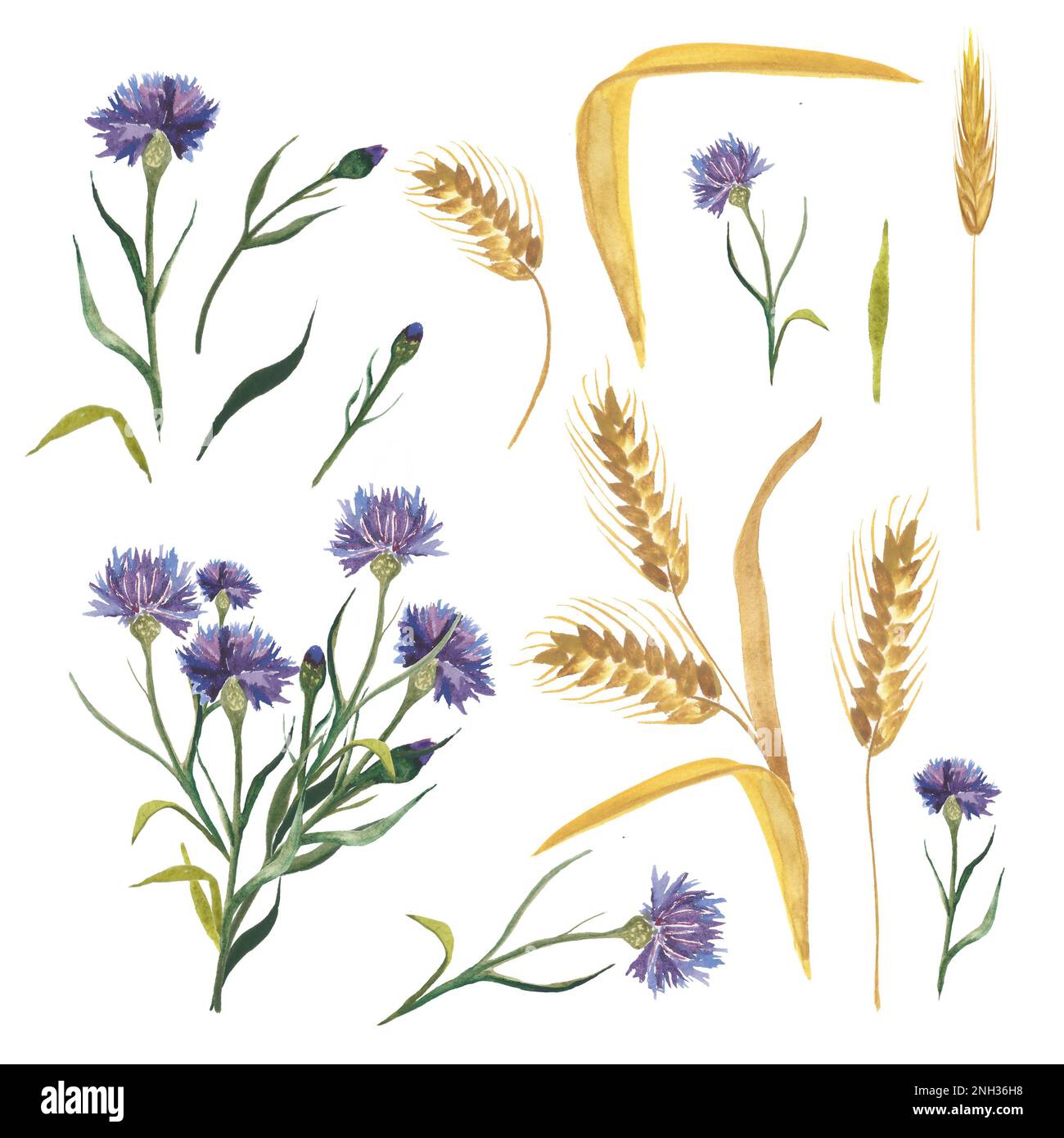 Can be used as a wrapping Cut Out Stock Images & Pictures - Alamy