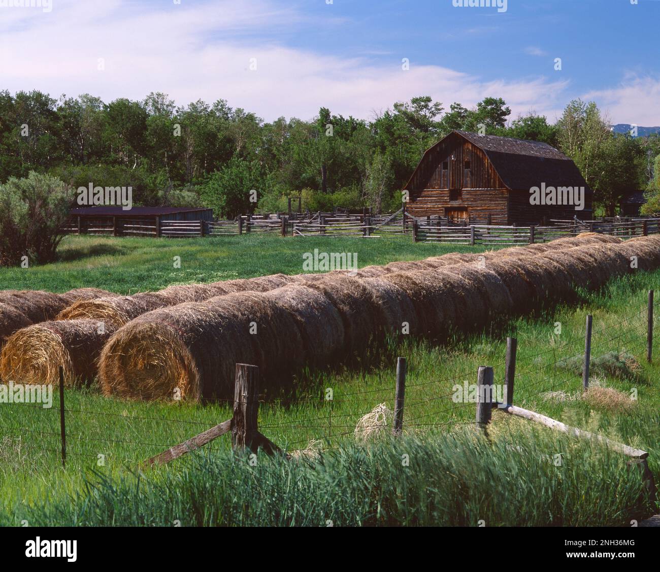Form scenic with rows of rolled hay and a rustic old barn, Montana ...