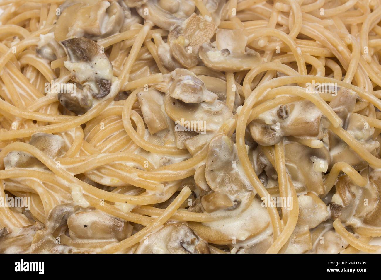 Close-up of creamy spaghetti with mushrooms texture detail. Healthy ...